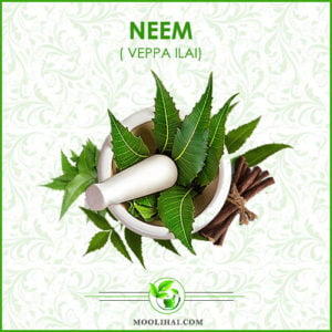 10 Amazing Medicinal Benefits Of Neem - Moolihai.com