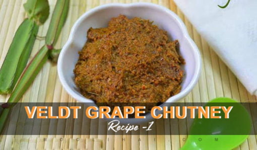Health Benefits & Uses Of Cissus Quadrangularis (Veldt Grape ...